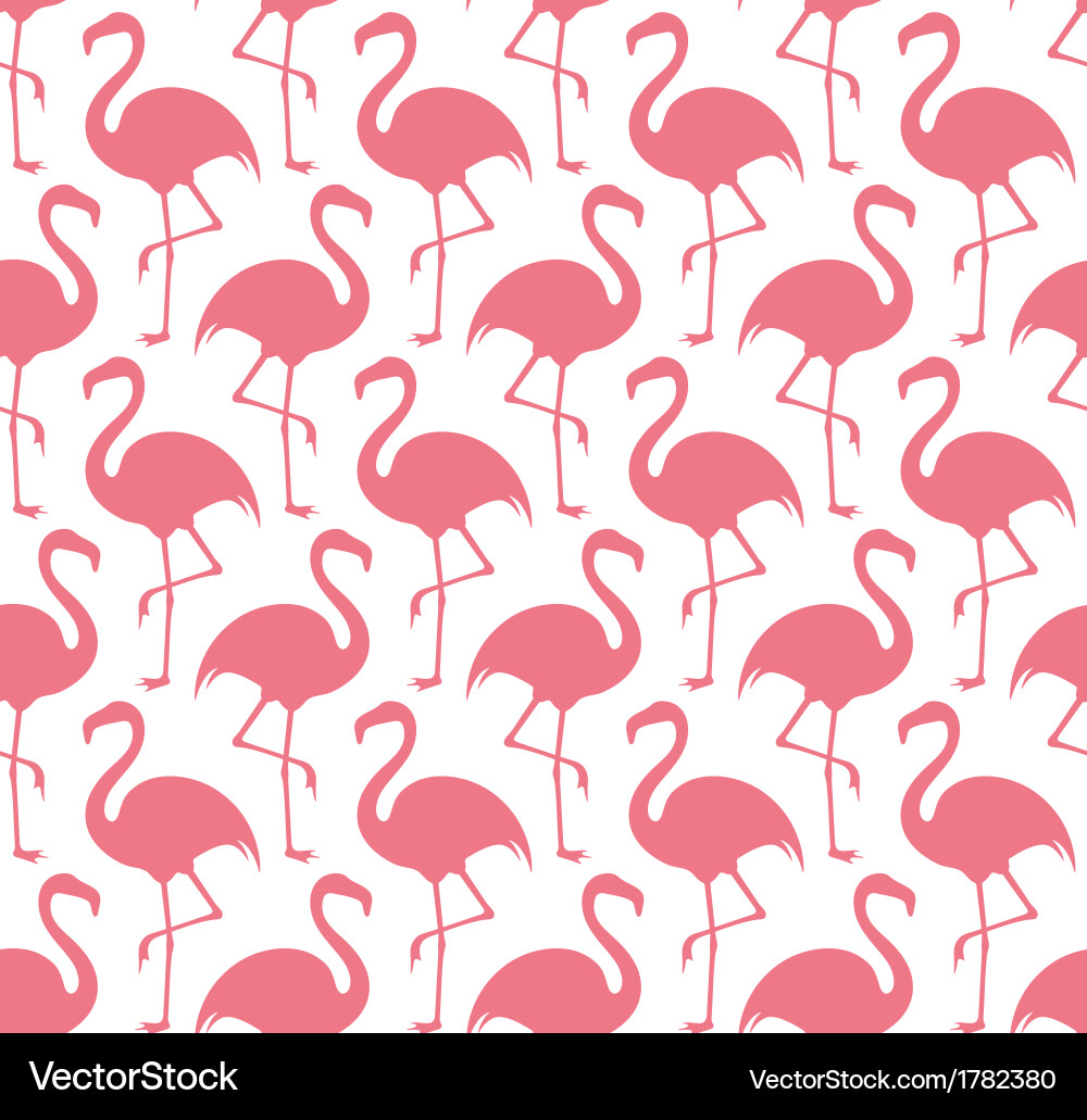 Flamingo Royalty Free Vector Image - VectorStock