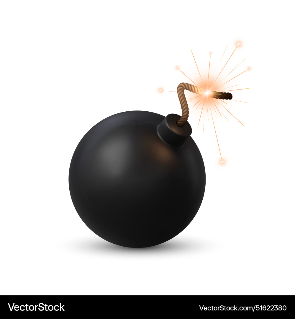 Realistic bomb with burning fuse isolated Vector Image