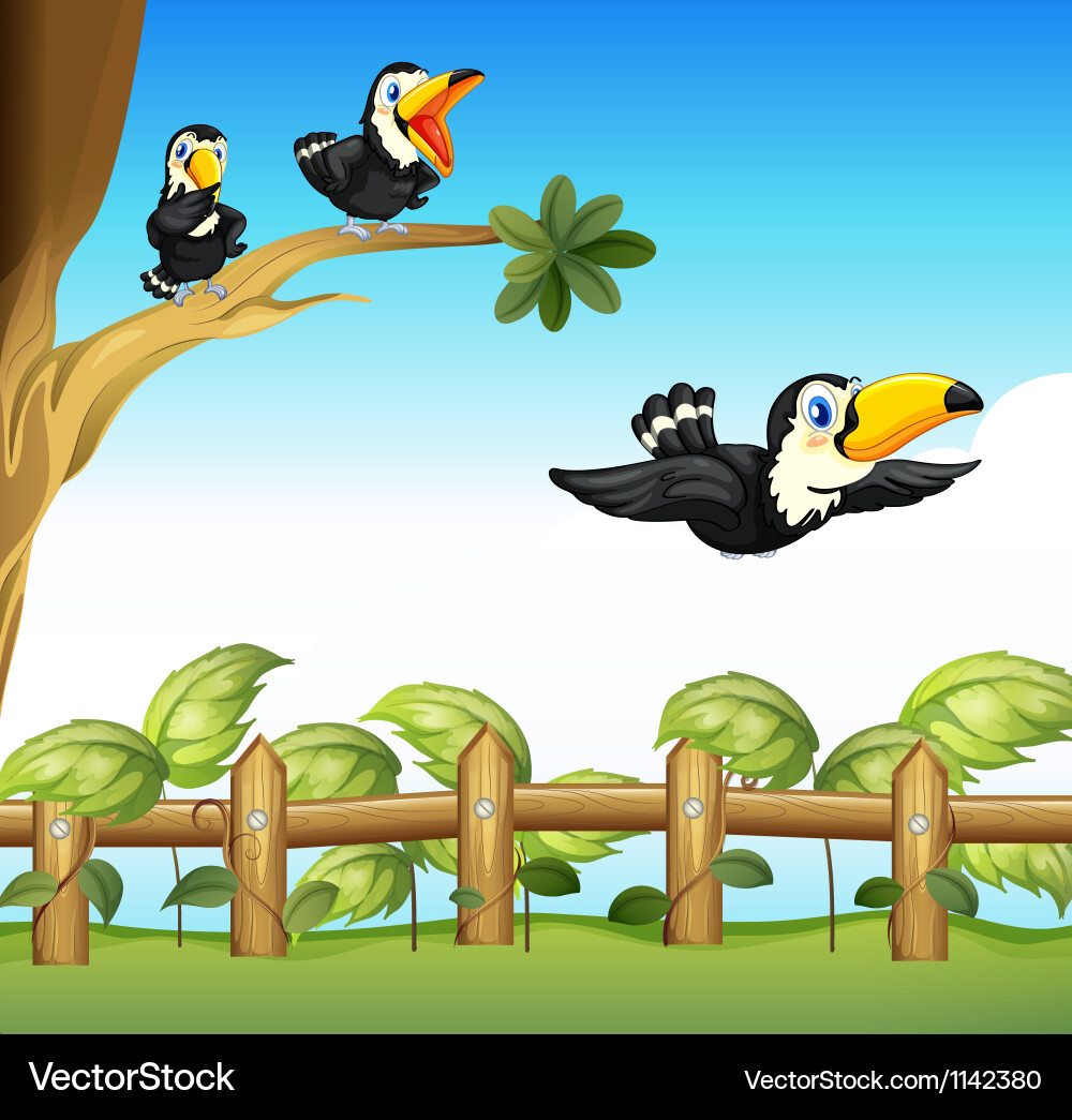 Three birds Royalty Free Vector Image - VectorStock