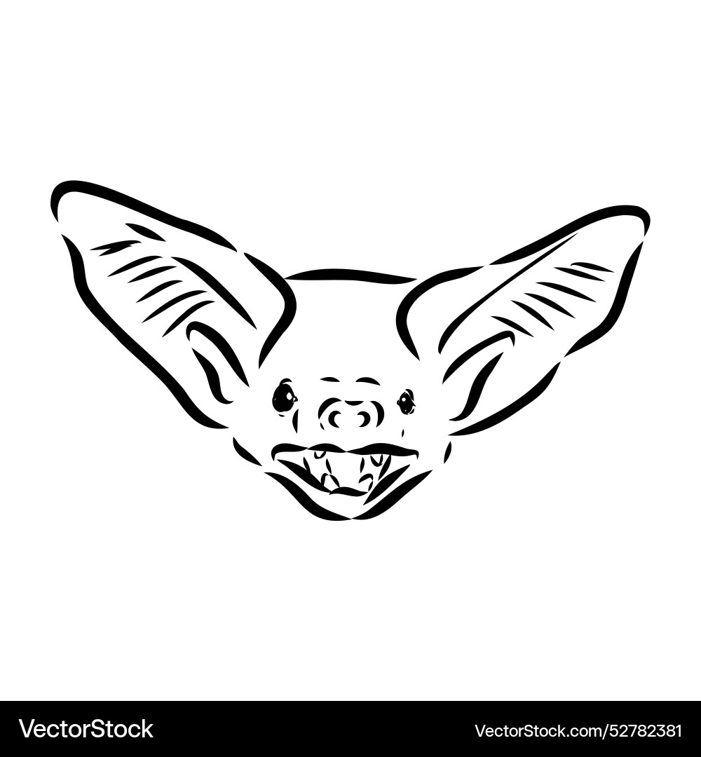 Bat engraving hand drawn Royalty Free Vector Image