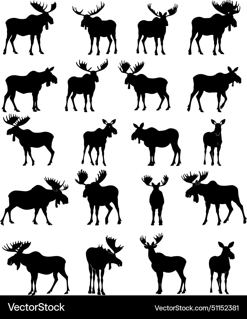 Moose black silhouettes set forest horned Vector Image