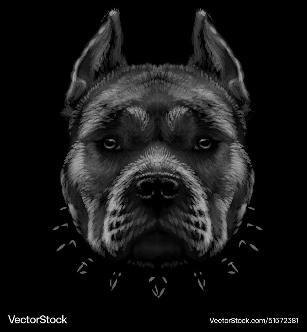 Pit bull terrier Royalty Free Vector Image - VectorStock