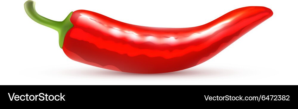 Red pepper isolated on white background Royalty Free Vector