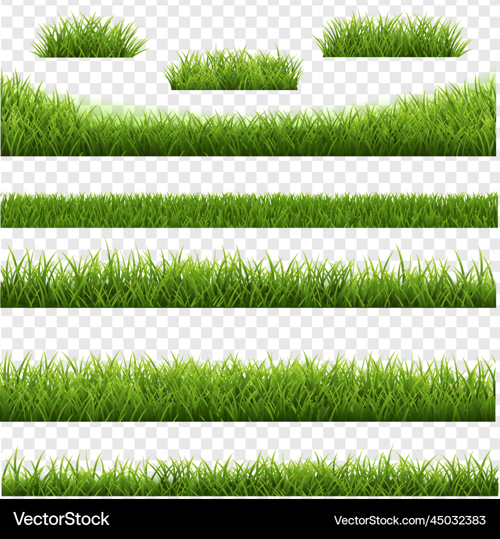 Green grass border transparent background Vector Image