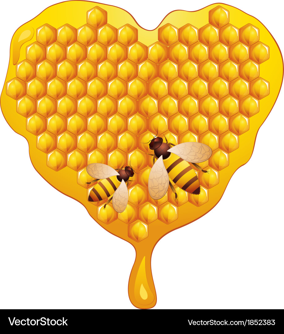 Honey Royalty Free Vector Image - VectorStock