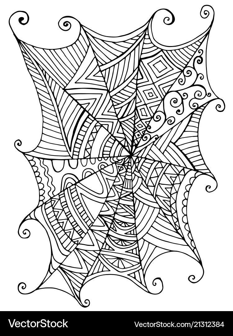 Decorative beautiful spider web children s Vector Image