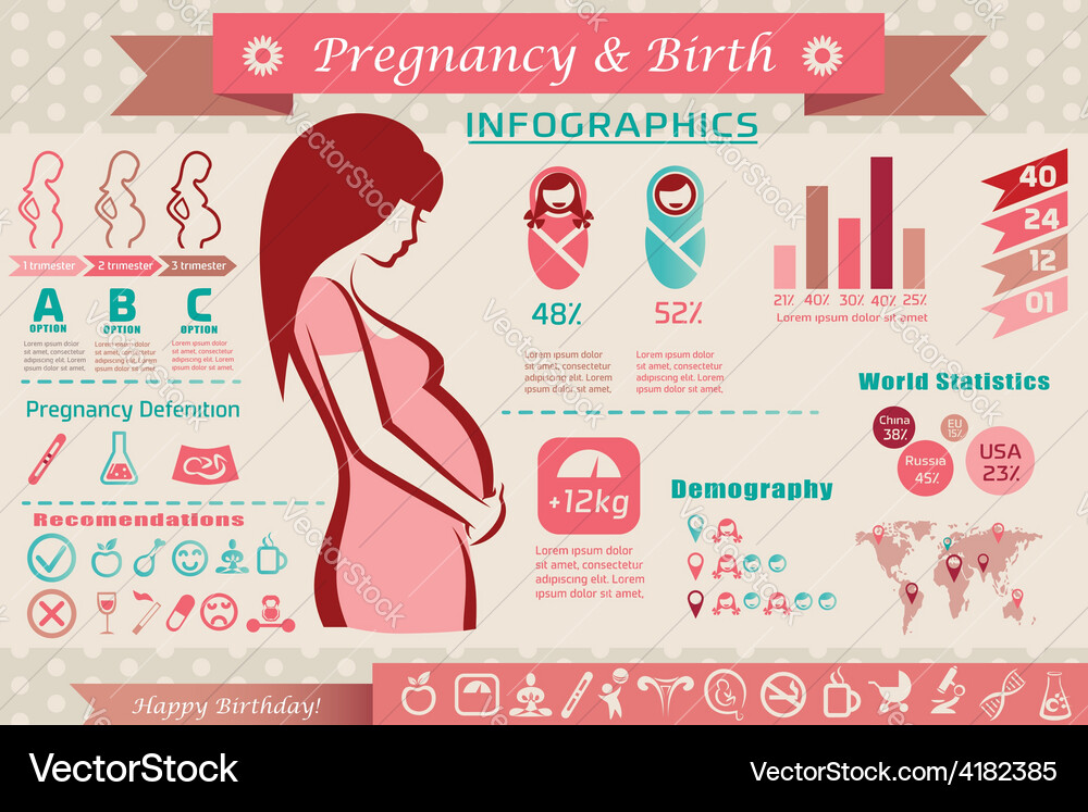 Pregnancy and birth infographics presentation Vector Image