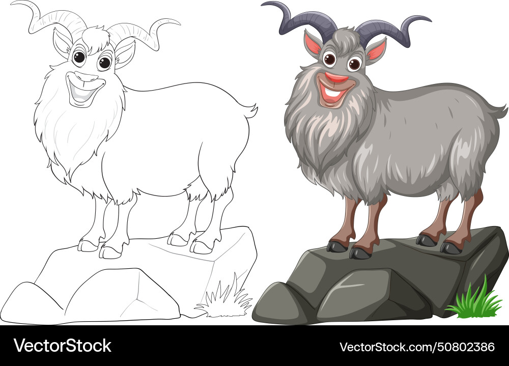 Coloring page and colored of a mountain goat Vector Image