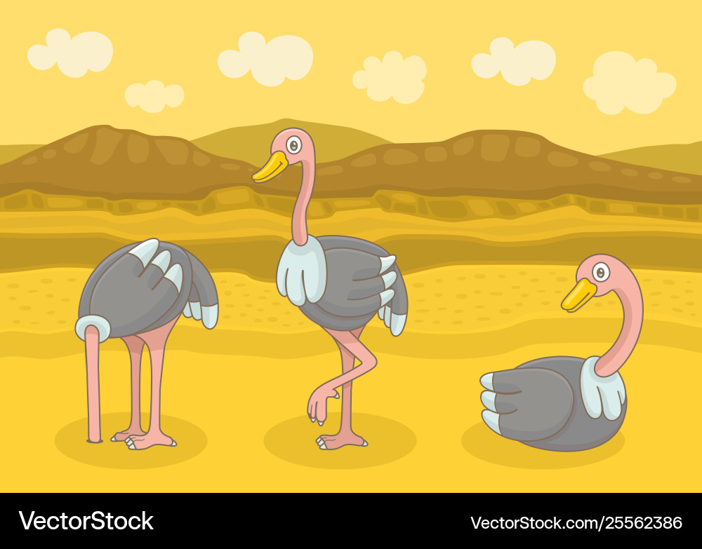 Three happy ostrich Royalty Free Vector Image - VectorStock