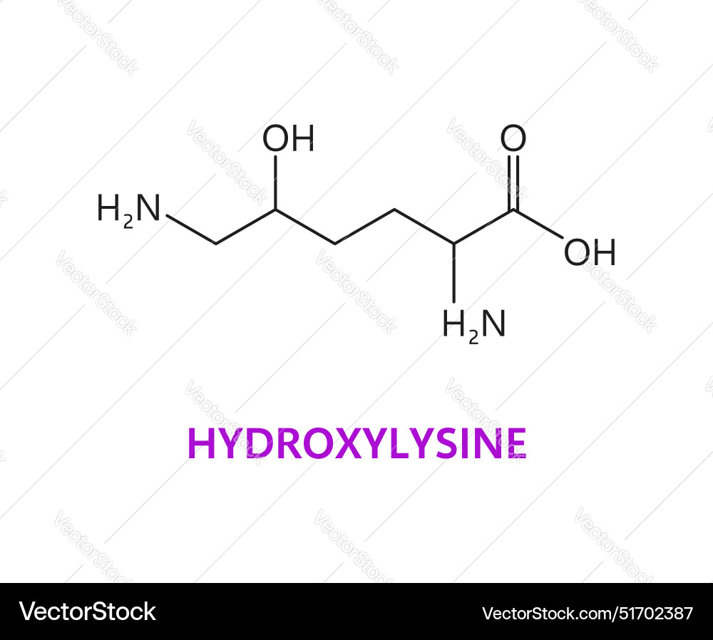 Hydroxylysine chemical molecule structure Vector Image