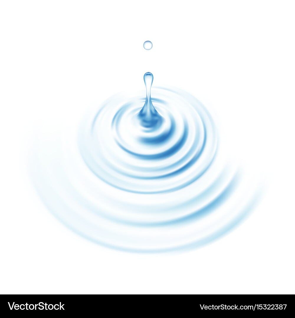 Realistic transparent drop and circle ripples set Vector Image