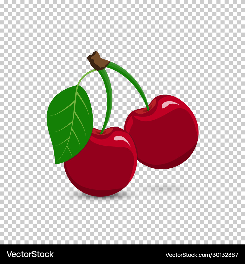 Ripe Red Cherry Berries With Leaves Royalty Free Vector