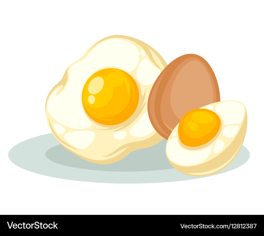 Set with raw fried and boiled chicken eggs Vector Image