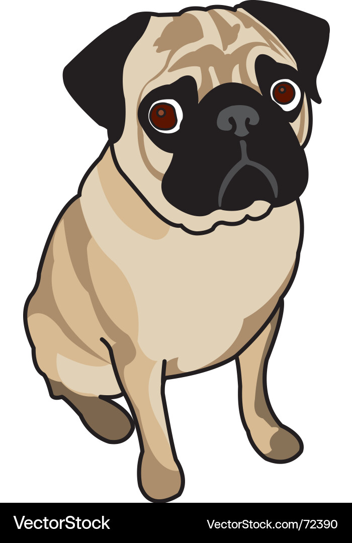 Cute pug Royalty Free Vector Image - VectorStock