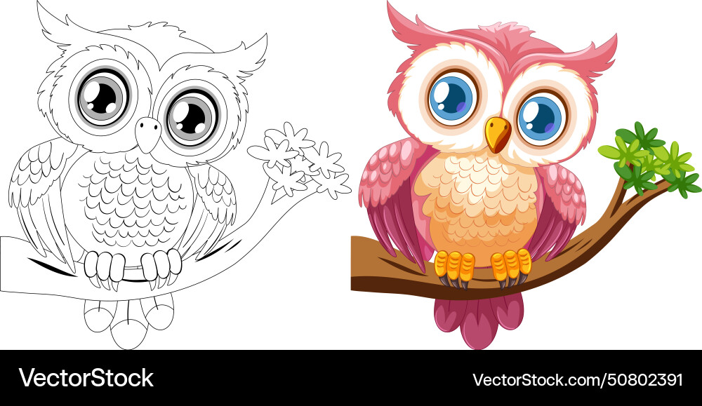 An owl colored and line art Royalty Free Vector Image