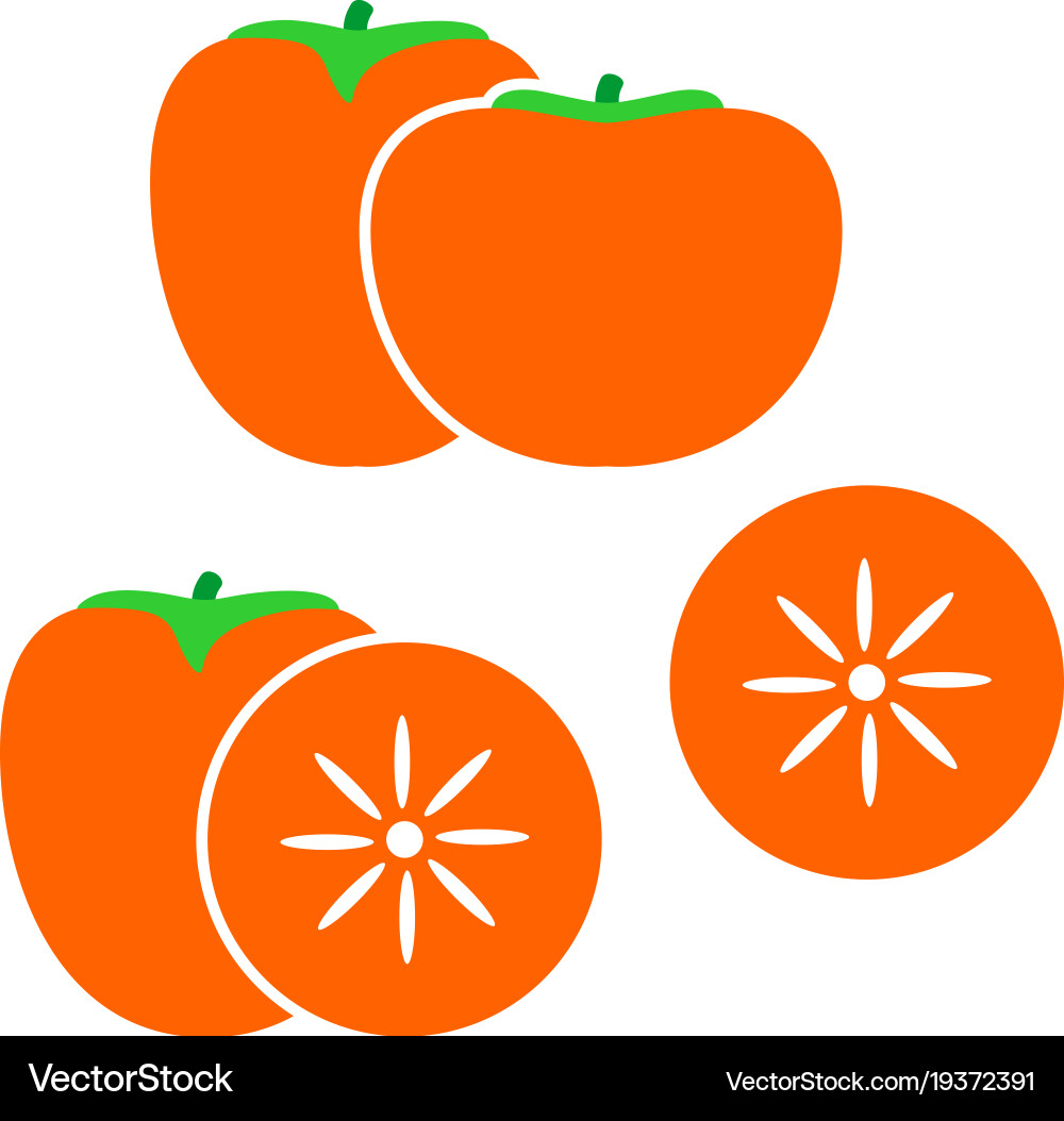Persimmon logo Royalty Free Vector Image - VectorStock