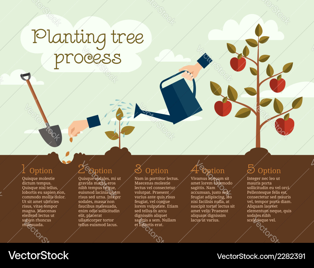 Planting tree process Royalty Free Vector Image
