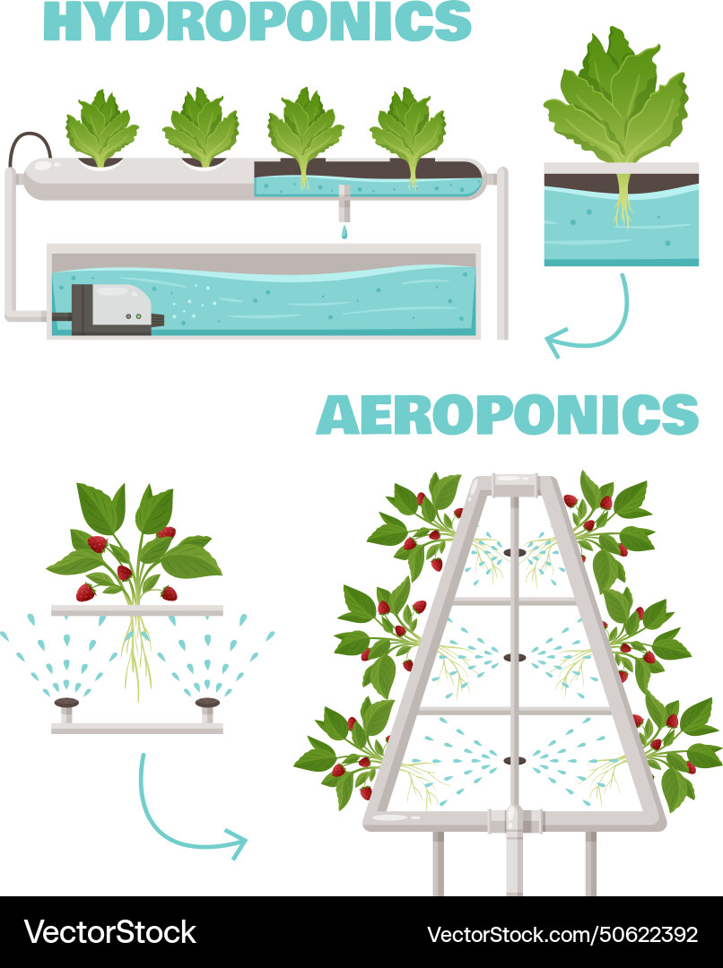 Hydroponics and aeroponics concept Royalty Free Vector Image