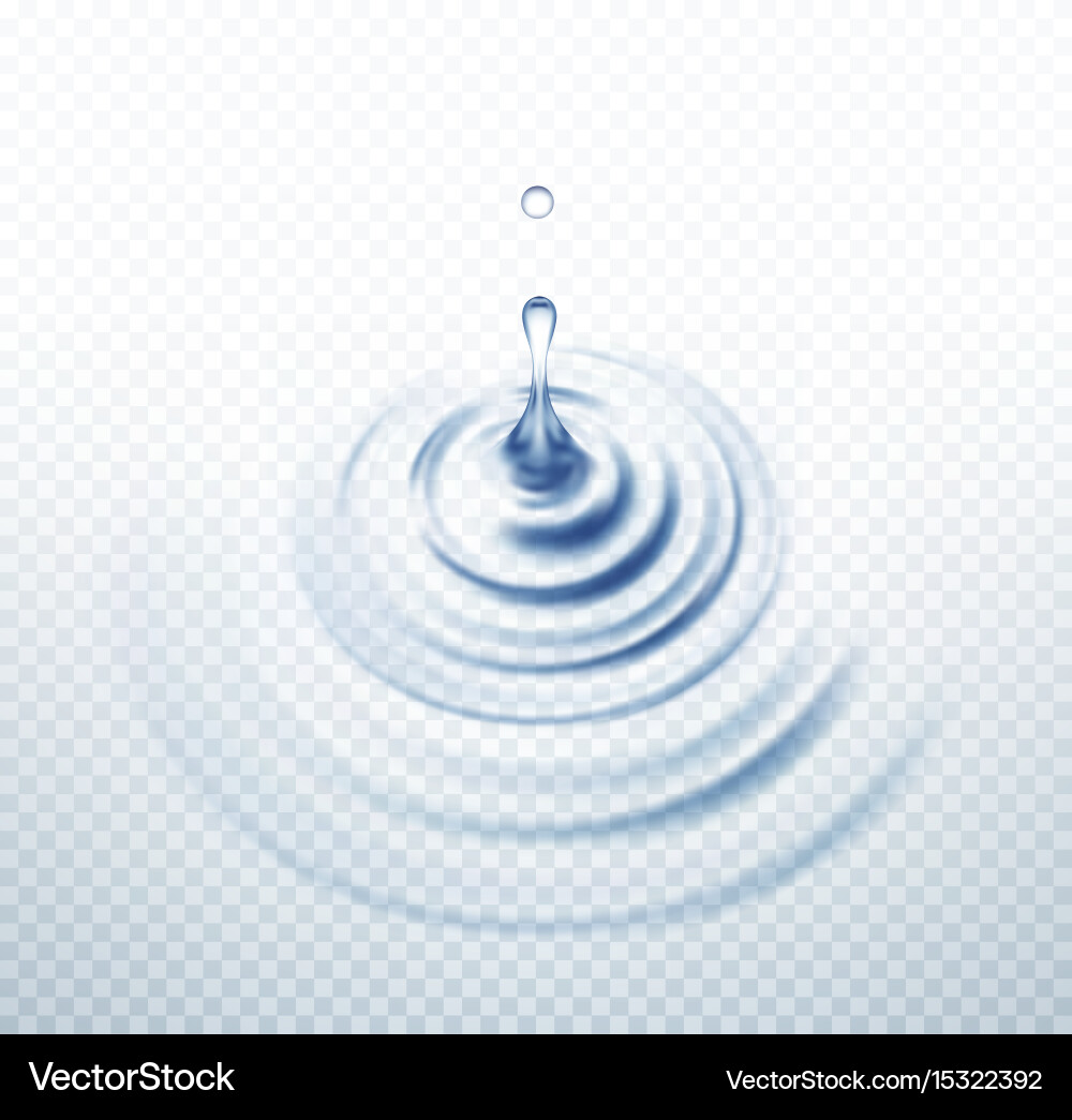 Realistic transparent drop and circle ripples set Vector Image