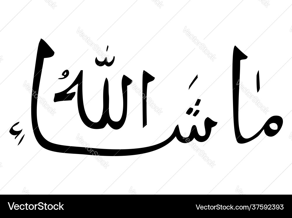 Simple black hand draw sketch calligraphy mashaa Vector Image
