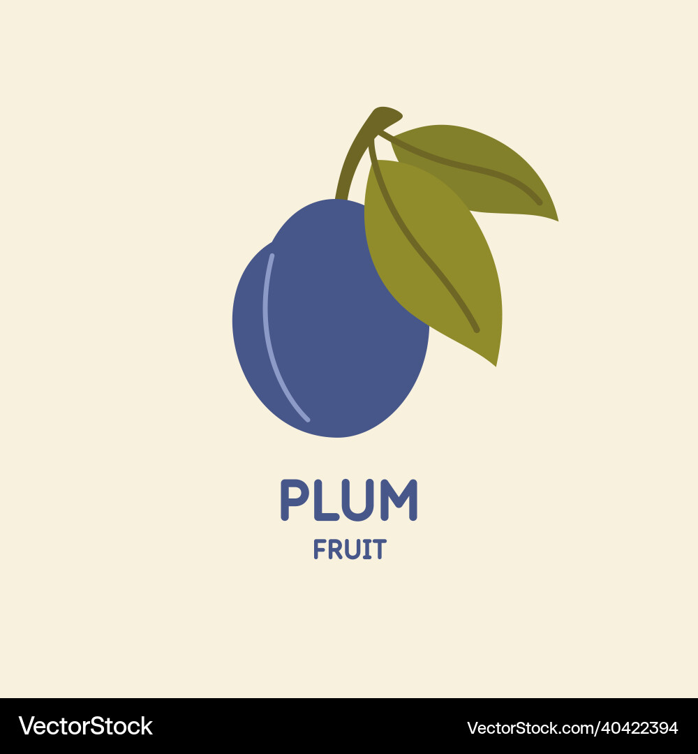 A plum in flat style isolated Royalty Free Vector Image