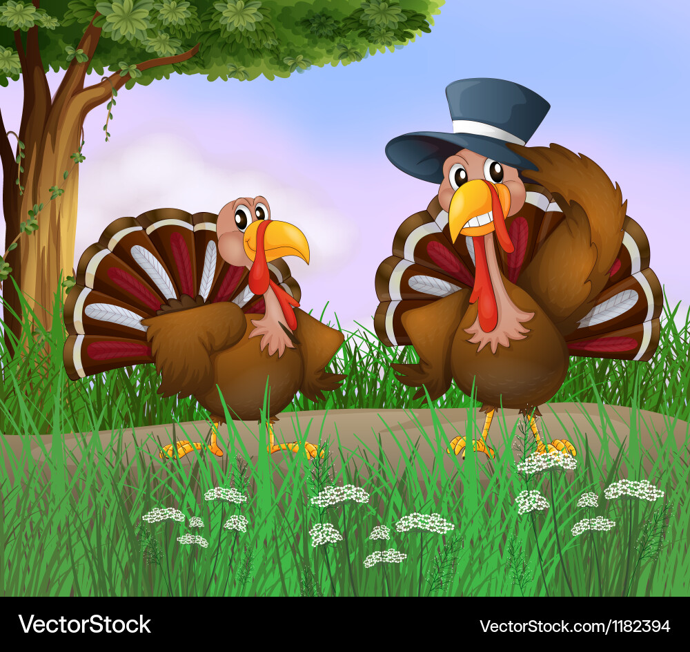 Cartoon turkeys Royalty Free Vector Image - VectorStock