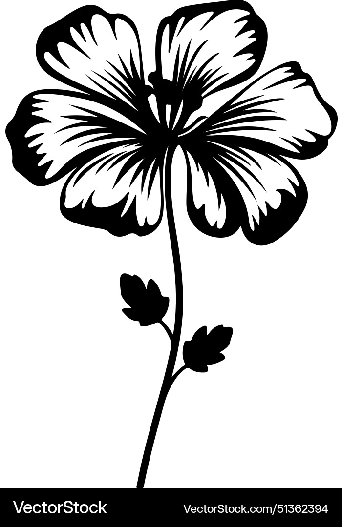 Geranium flower silhouette white background Vector Image