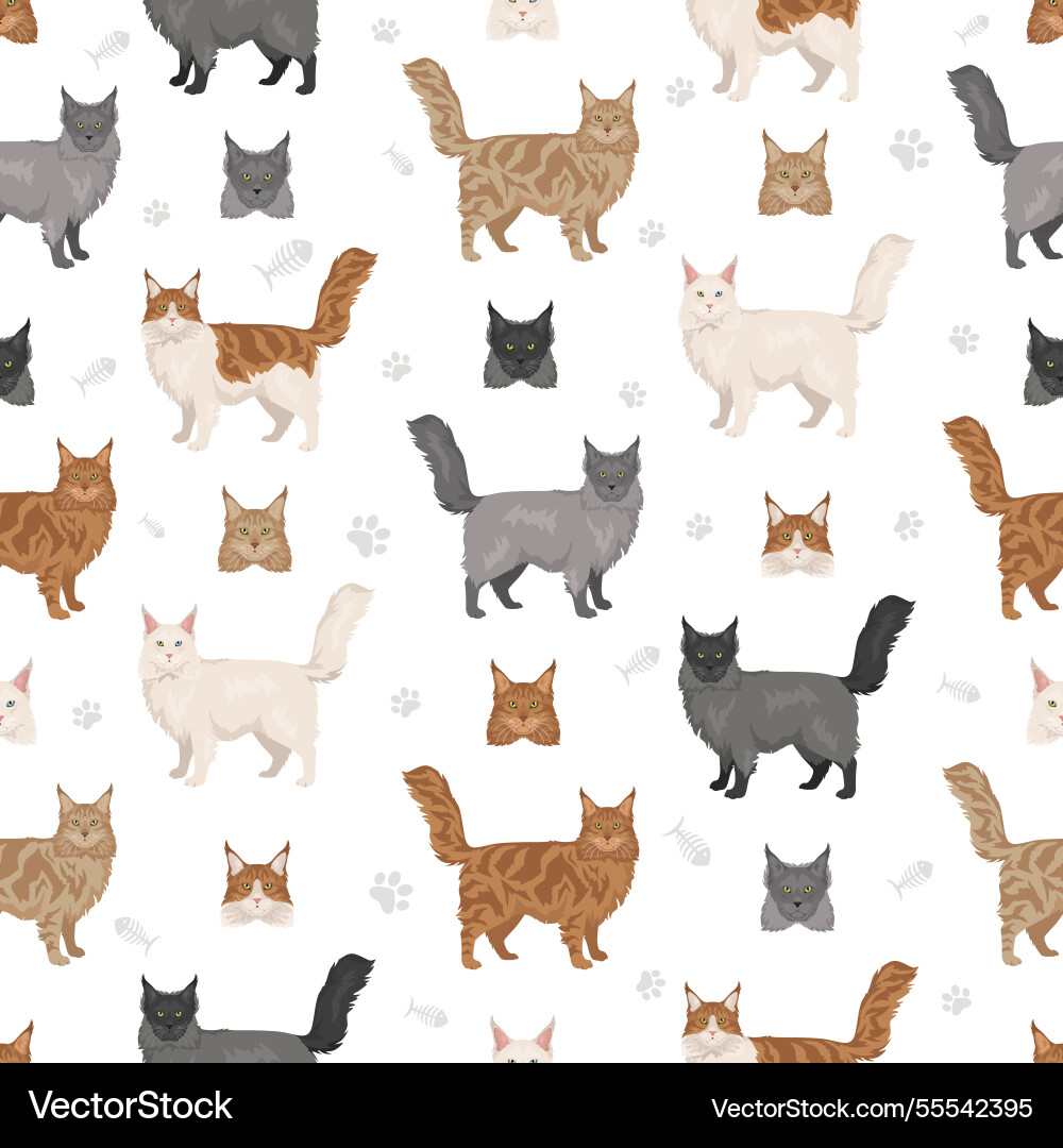 Maine coon cat seamless pattern all coat colors Vector Image