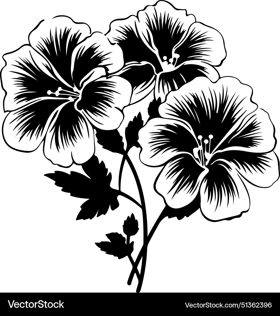 Geranium flower silhouette white background Vector Image