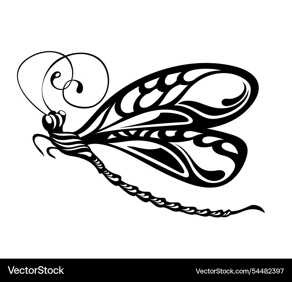 Dragonfly silhouette Royalty Free Vector Image
