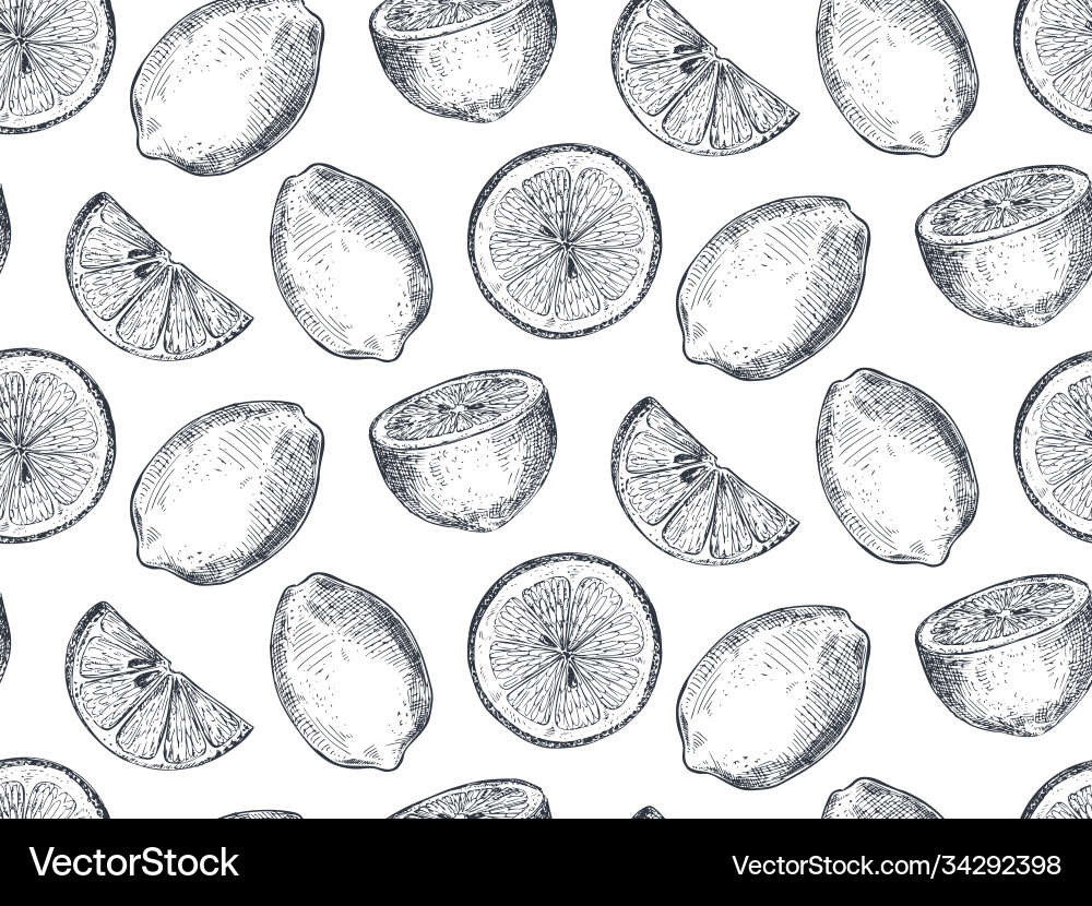 Hand Drawn Lemon Pattern Royalty Free Vector Image