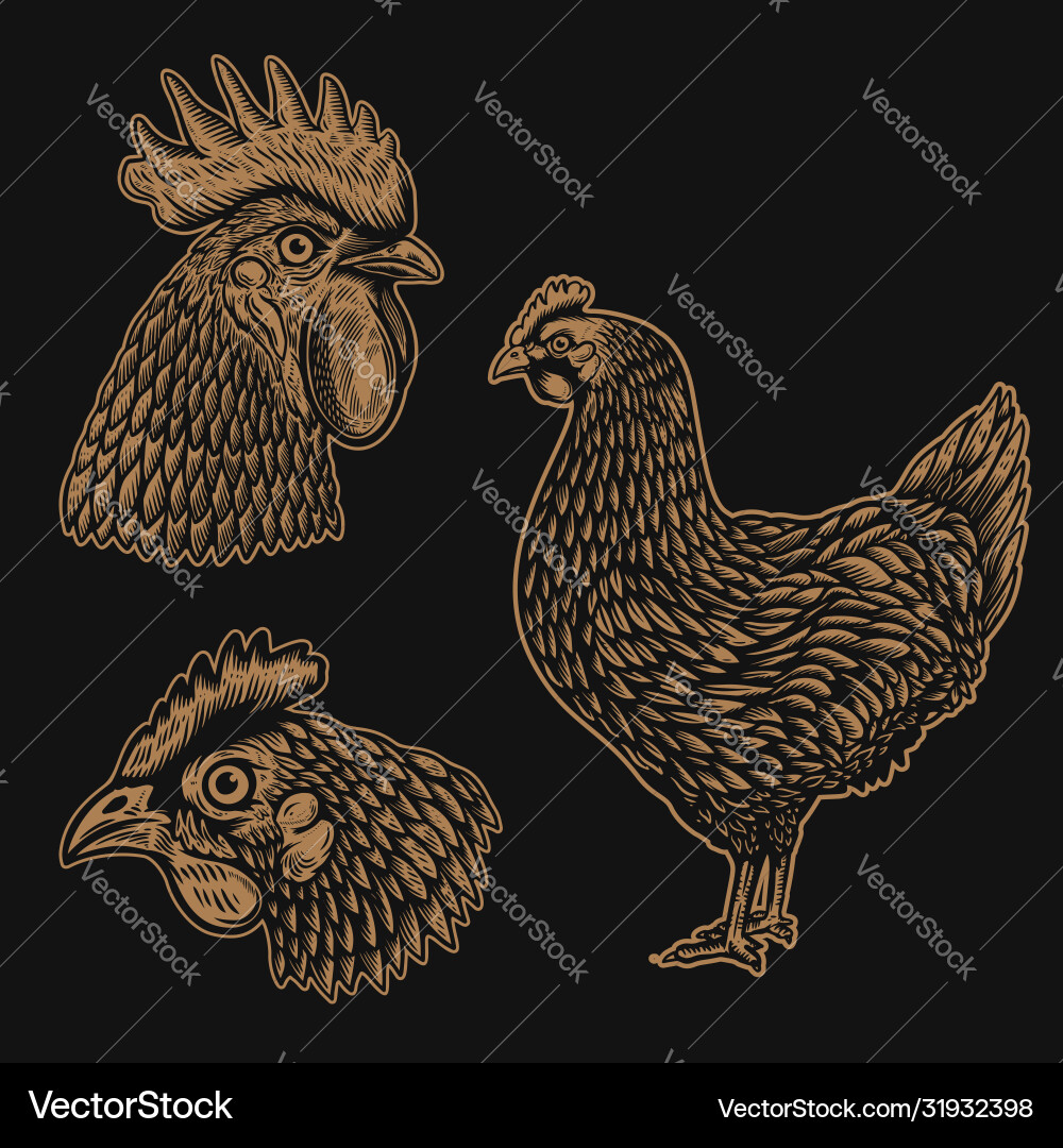 Rooster & Chicken Engraving Set Royalty Free Vector