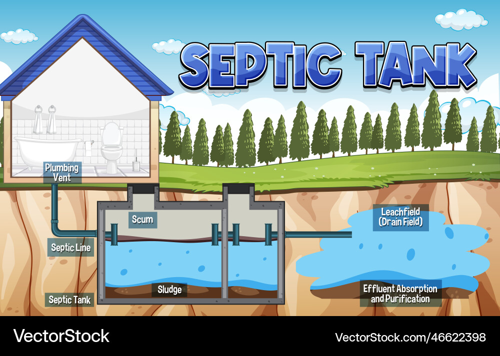 Septic tank system diagram Royalty Free Vector Image