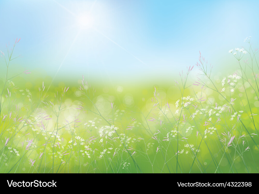 Spring flowers sky Royalty Free Vector Image - VectorStock