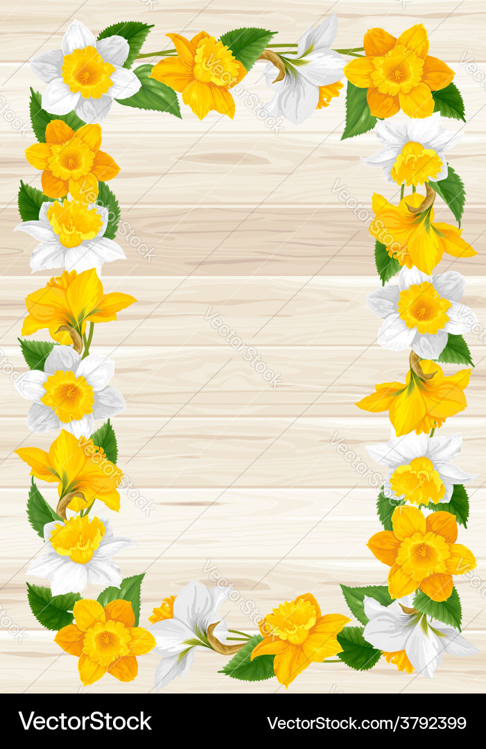 Daffodils frame Royalty Free Vector Image - VectorStock
