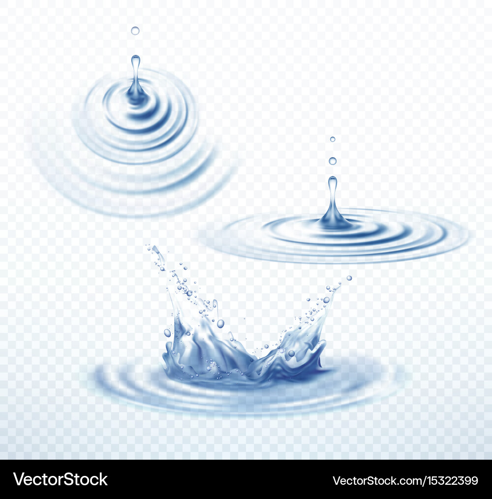 Realistic transparent drop and circle ripples set Vector Image