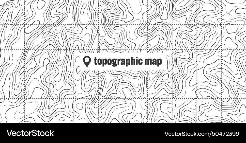 Topographic map with contour lines geographic Vector Image