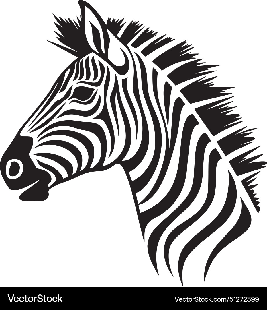 Zebra Strepen Vector
