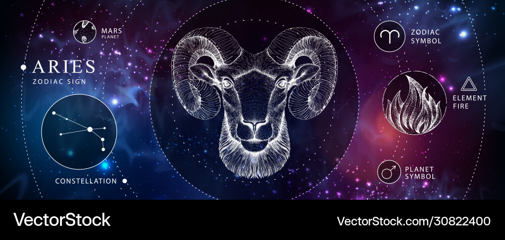 Aries Witchcraft Tarot Card - Ram Head Royalty Free Vector