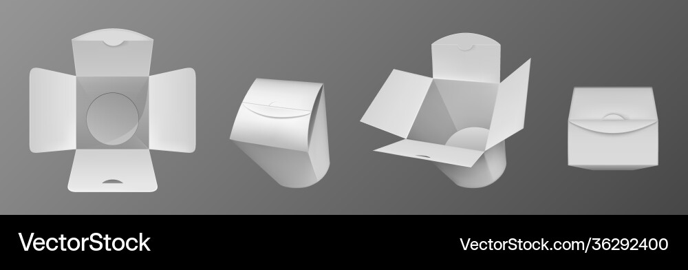 Empty white wok box packaging for chinese food Vector Image