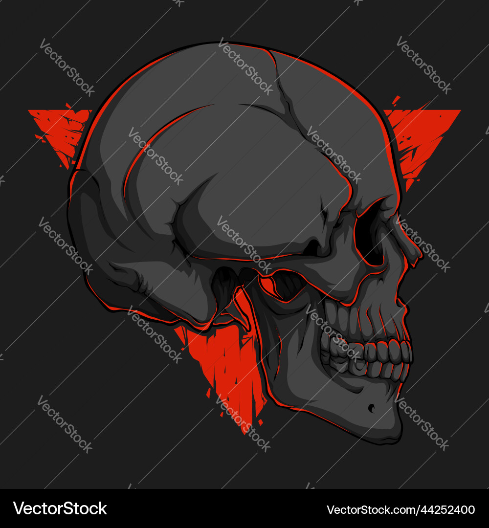 Hand drawn grey human skull head from side view Vector Image