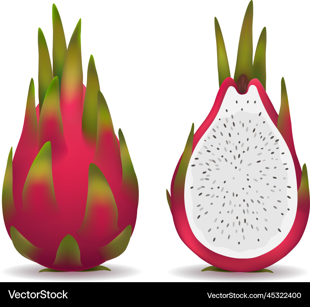 Realistic pitaya fruit Royalty Free Vector Image