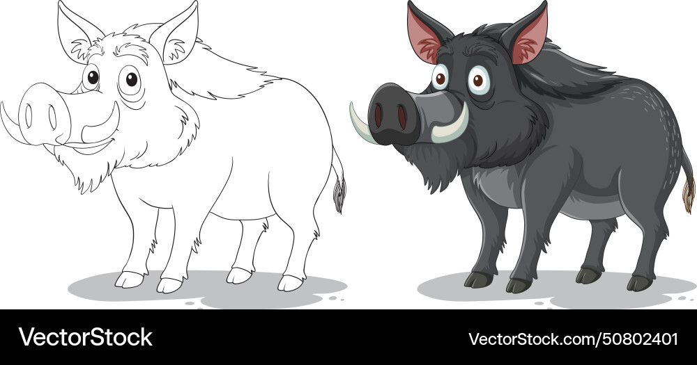 A boar colored and outlined Royalty Free Vector Image