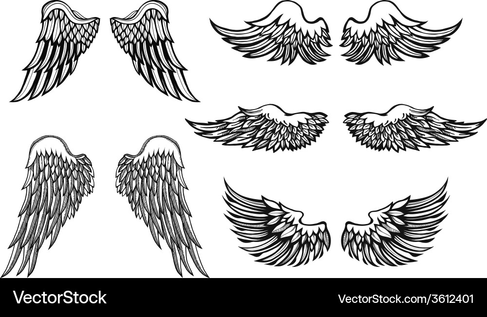 Hand-drawn wings set Royalty Free Vector Image