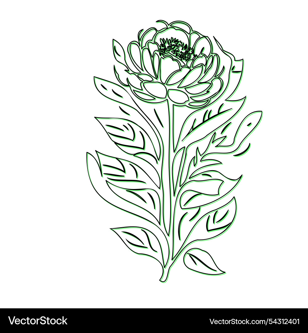 Line art flower drawing Royalty Free Vector Image