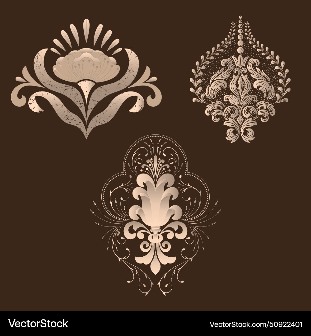 Set of damask ornamental elements elegant Vector Image