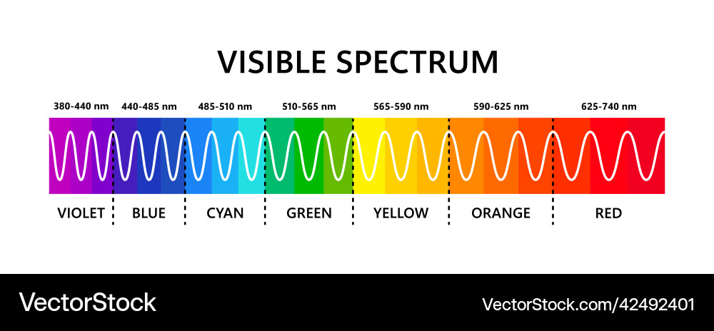 Visible Light Spectrum Royalty Free Vector Image