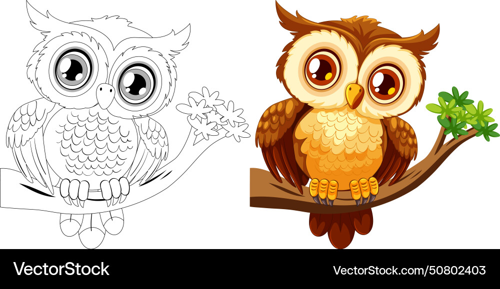 An owl colored and line art Royalty Free Vector Image