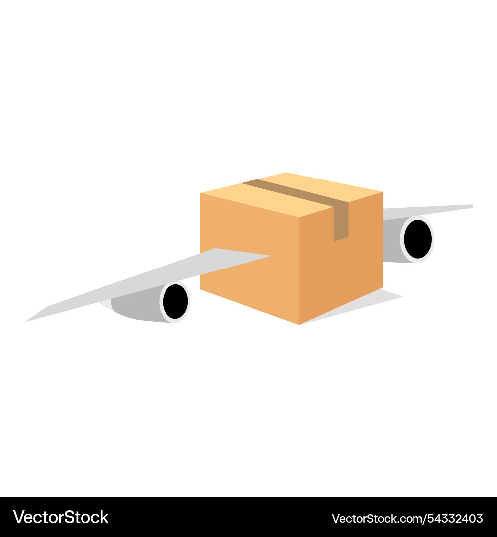 Fast air delivery or airmail concept parcel Vector Image