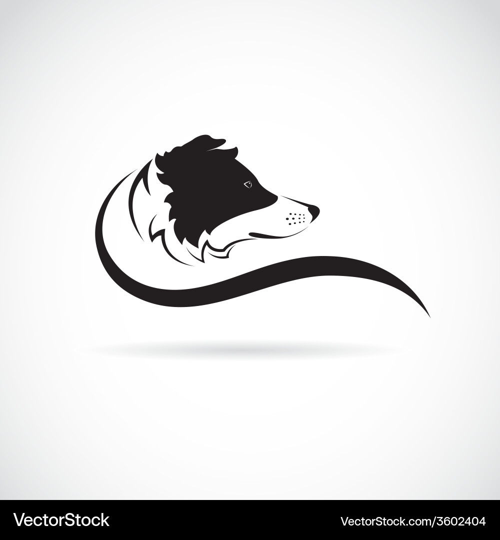 Collie Logo Vector Images (over 1,200)
